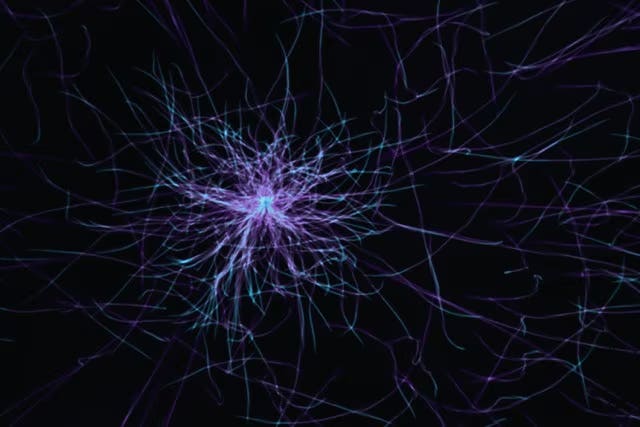 Splunk Observability Update (Q1 2026): Deeper Insights for AI Agents ...