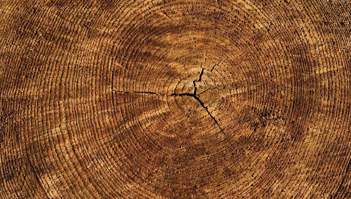 Log Analysis: A Complete Introduction | Splunk