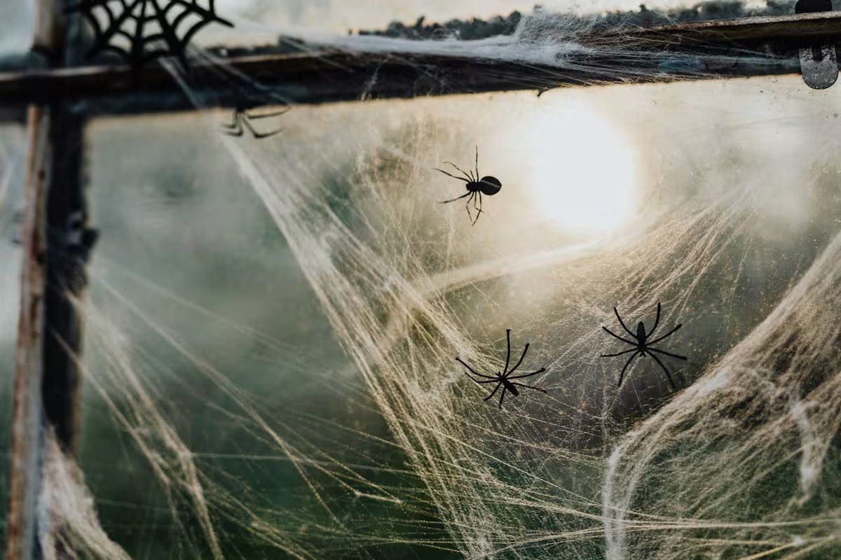 Scattered Spider Isn’t a Glitch, It’s a Warning | Splunk